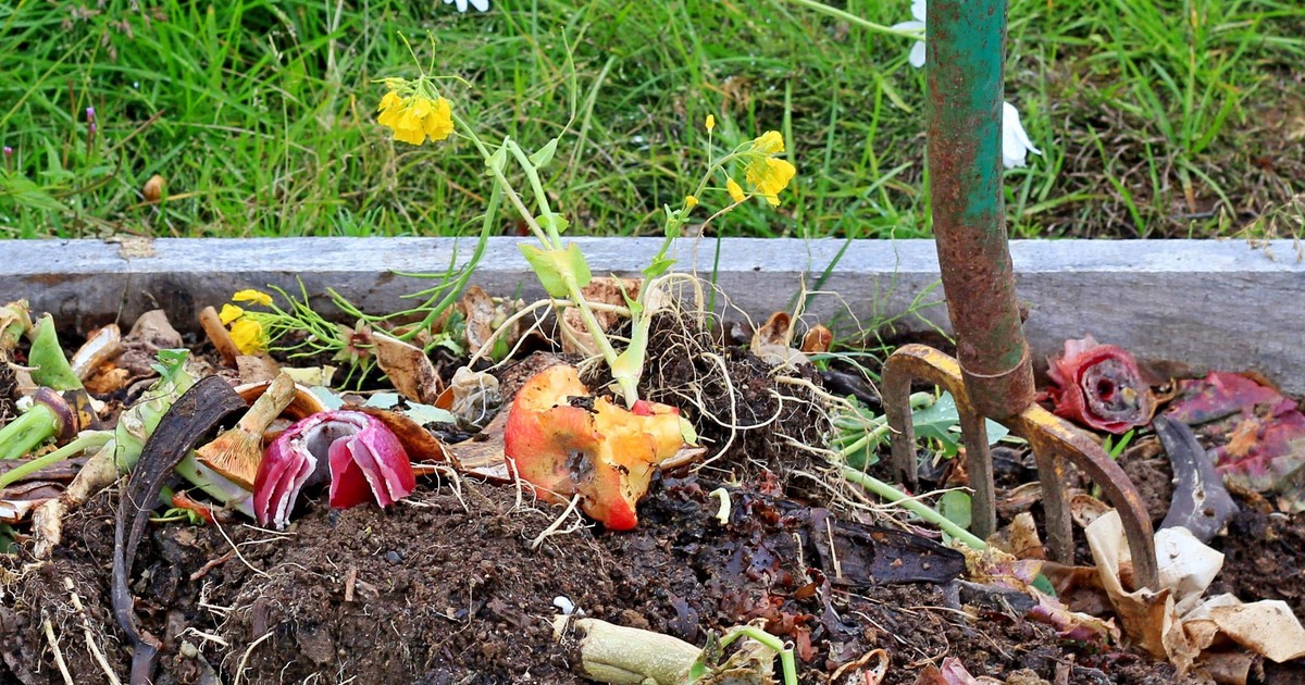 Learn to Compost | Hornberger Landscape & Nursery